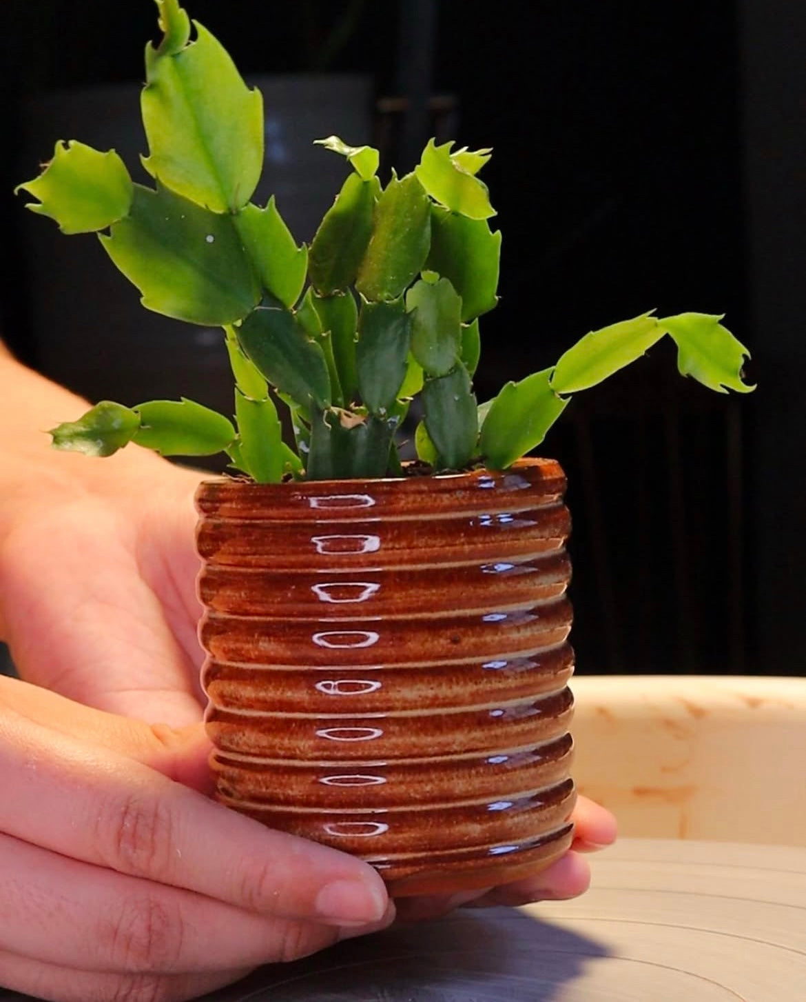 Bubble Profile Rib #2 – Stoic Clay Tools